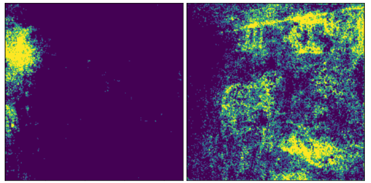Deep Learning Final Project Classifier To Segmentation